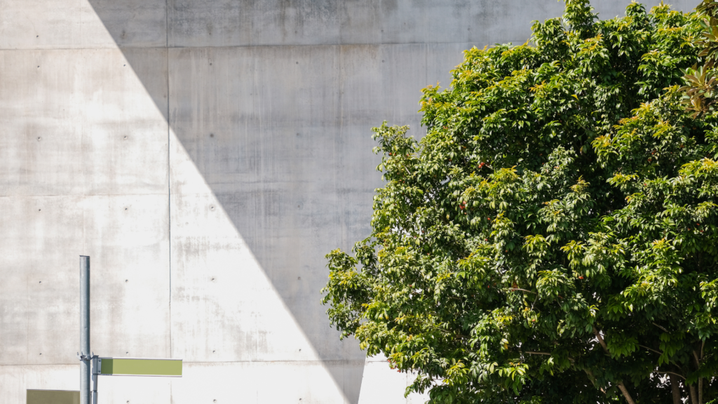 2025 Pig on the Ridge – Ridgeway